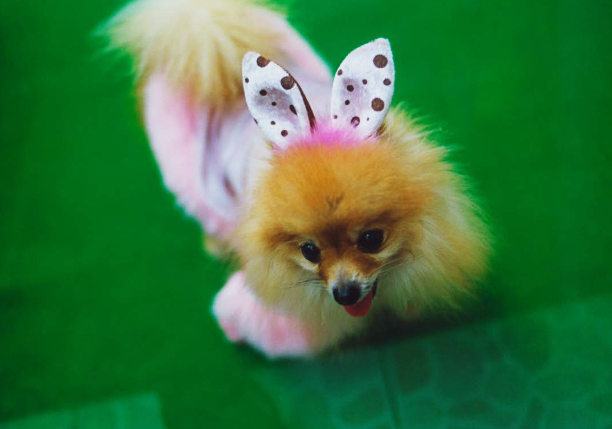 ポストカードセット｜ noir – MIKA NINAGAWA OFFICIAL STORE