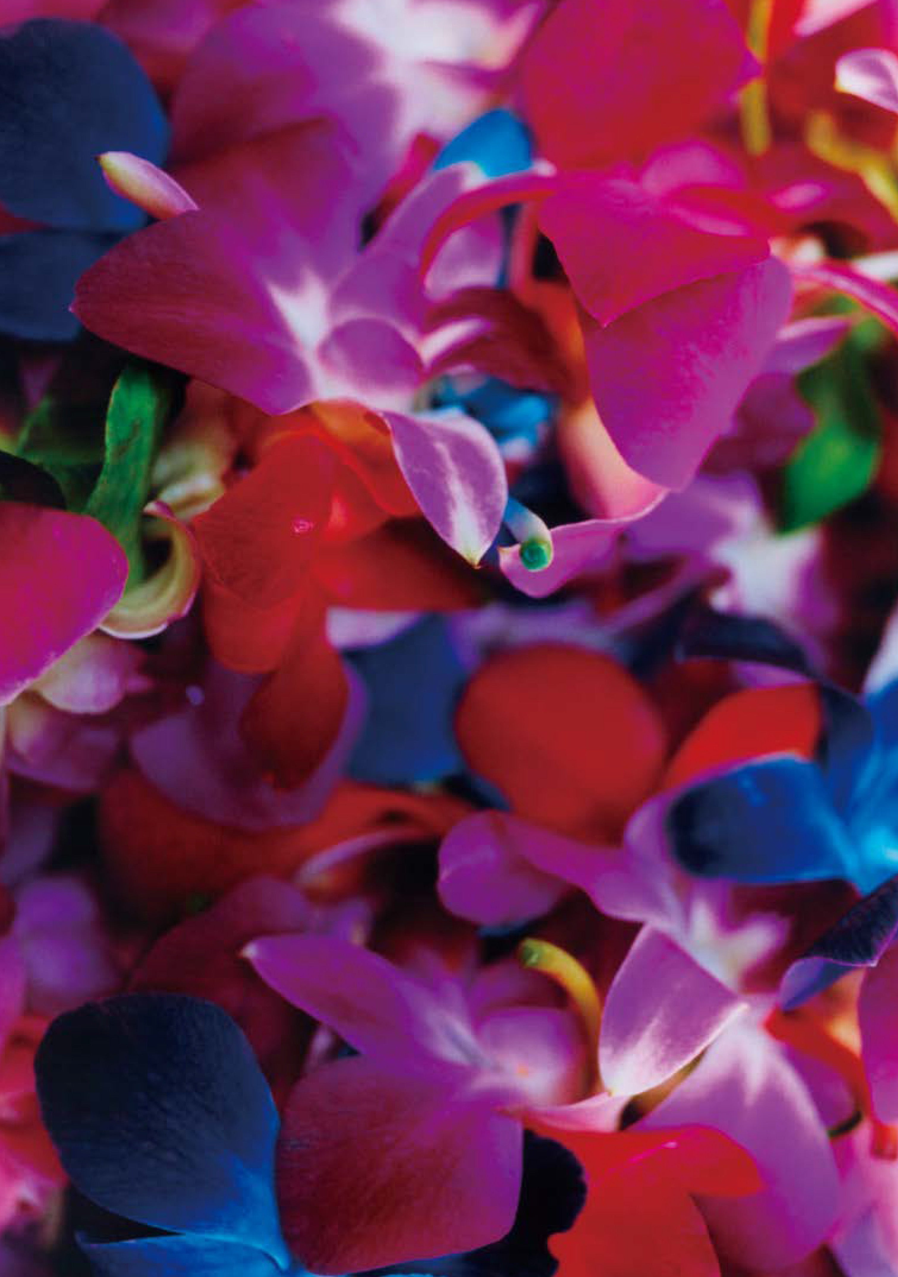 ポストカードセット｜ noir – MIKA NINAGAWA OFFICIAL STORE