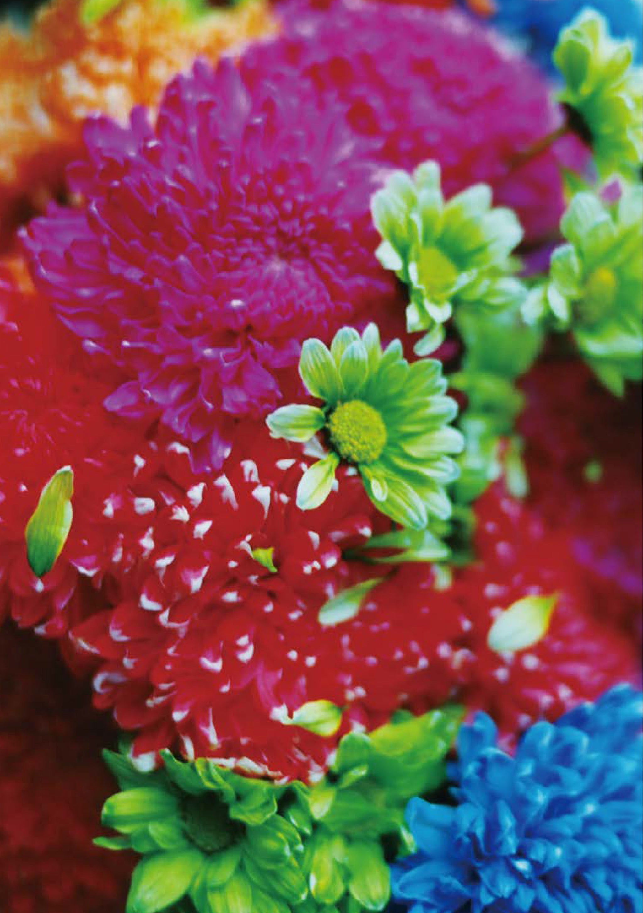 ポストカードセット｜ noir – MIKA NINAGAWA OFFICIAL STORE