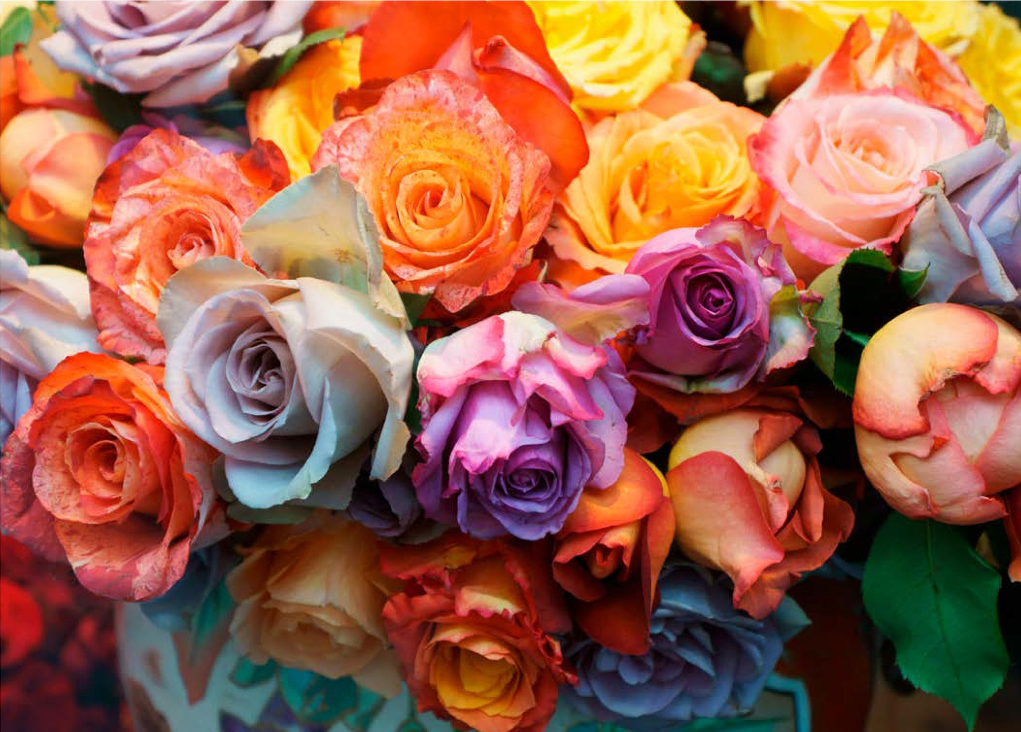 ポストカードセット｜ 2014 Original – MIKA NINAGAWA OFFICIAL STORE