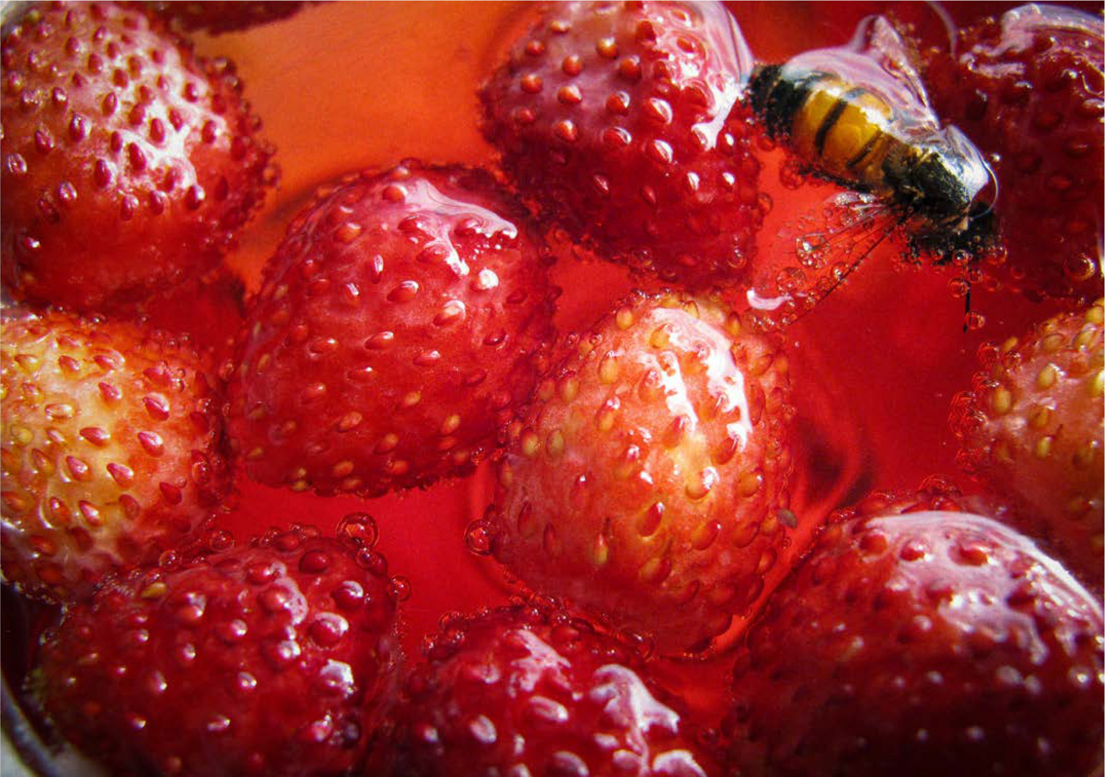 ポストカードセット｜ 2014 Original – MIKA NINAGAWA OFFICIAL STORE