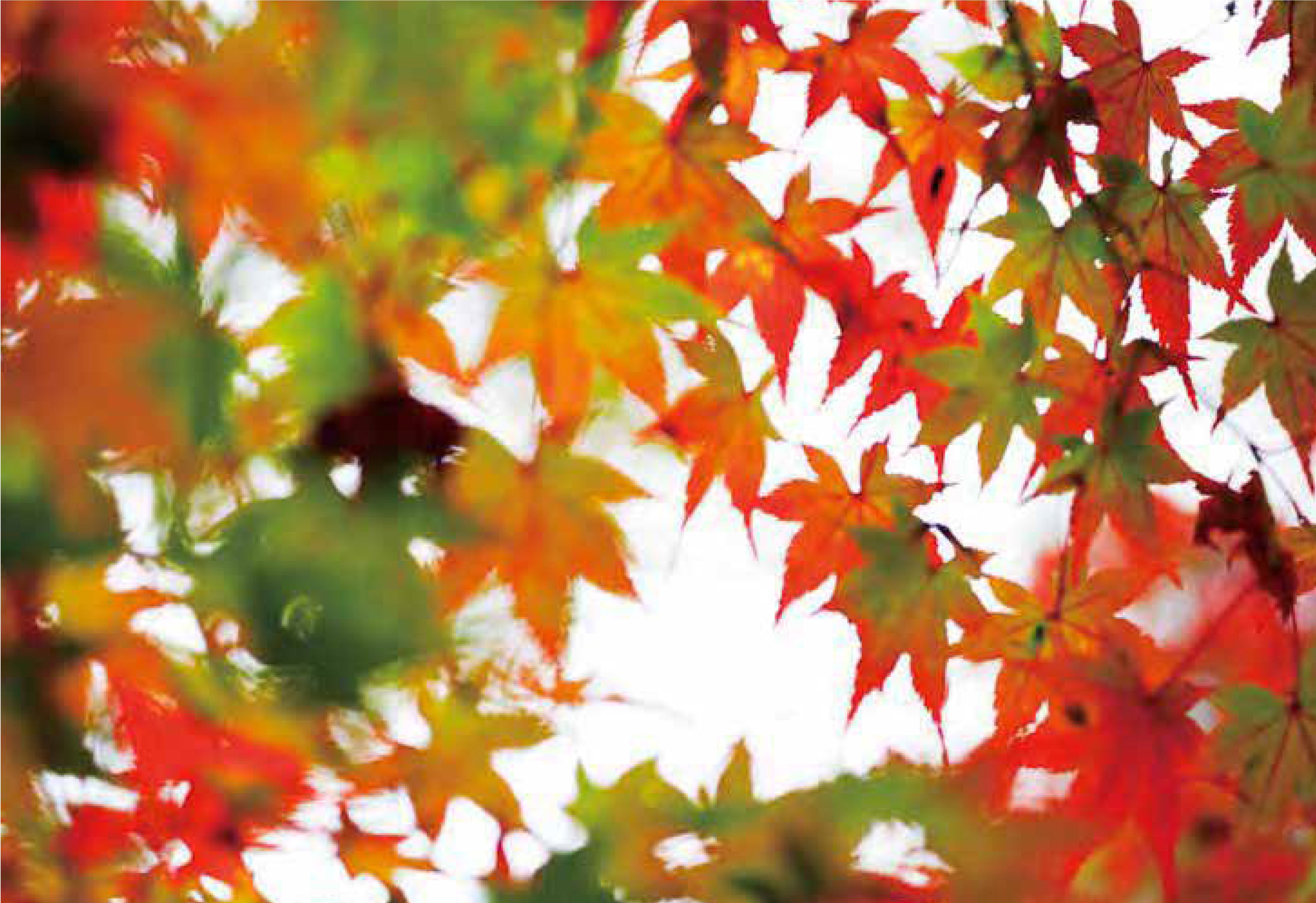 ポストカードセット｜ UTAGE – MIKA NINAGAWA OFFICIAL STORE